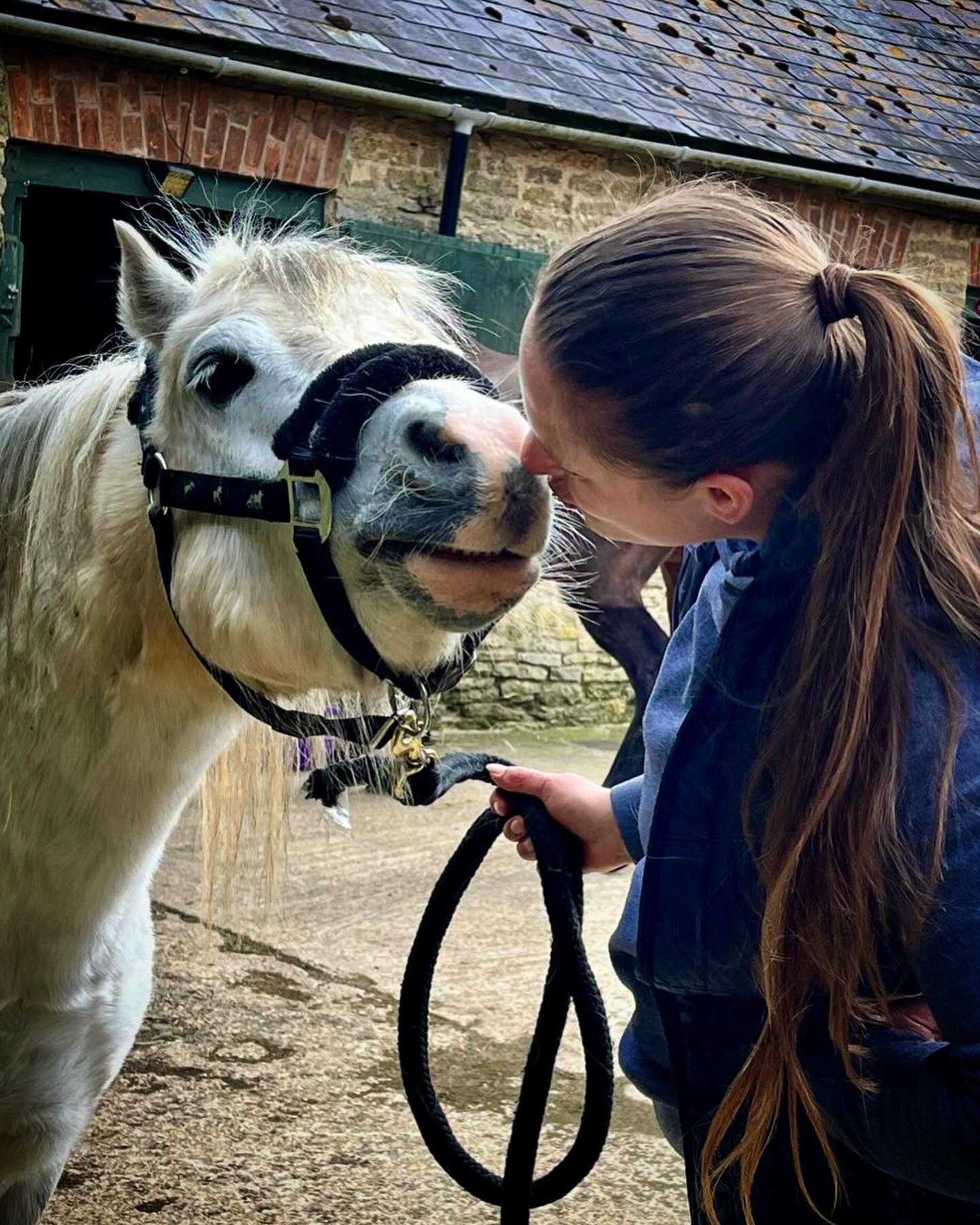 Welcome to Elite Equine Salt Therapy! – Elite Equine Salt Therapy