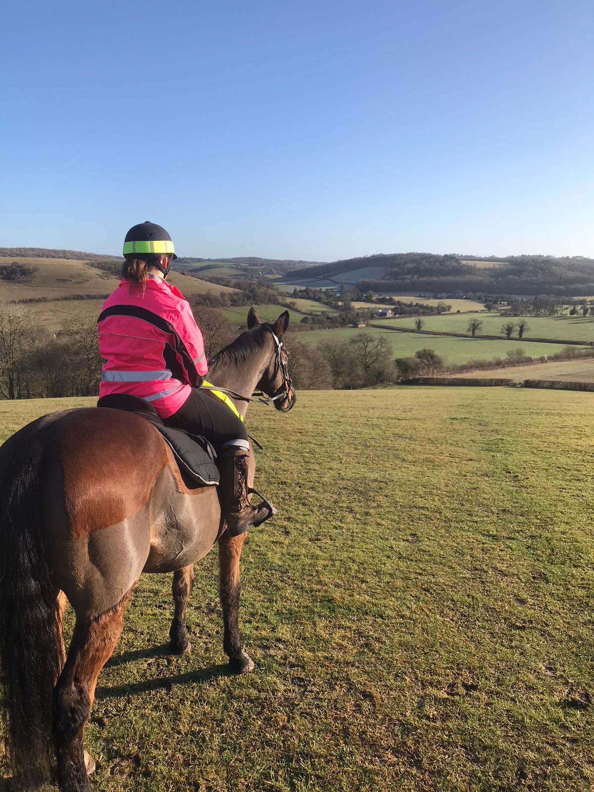 Welcome to Elite Equine Salt Therapy! – Elite Equine Salt Therapy