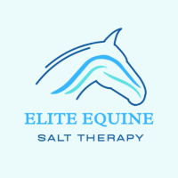 What is salt therapy? – Elite Equine Salt Therapy